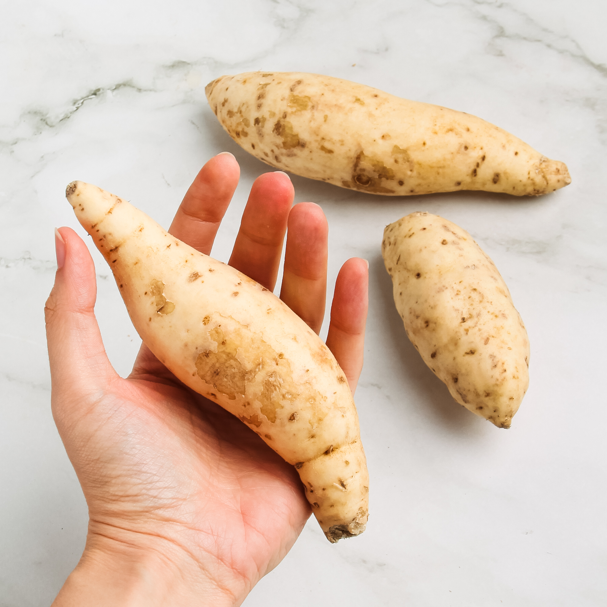 Organic Japanese Sweet Yam