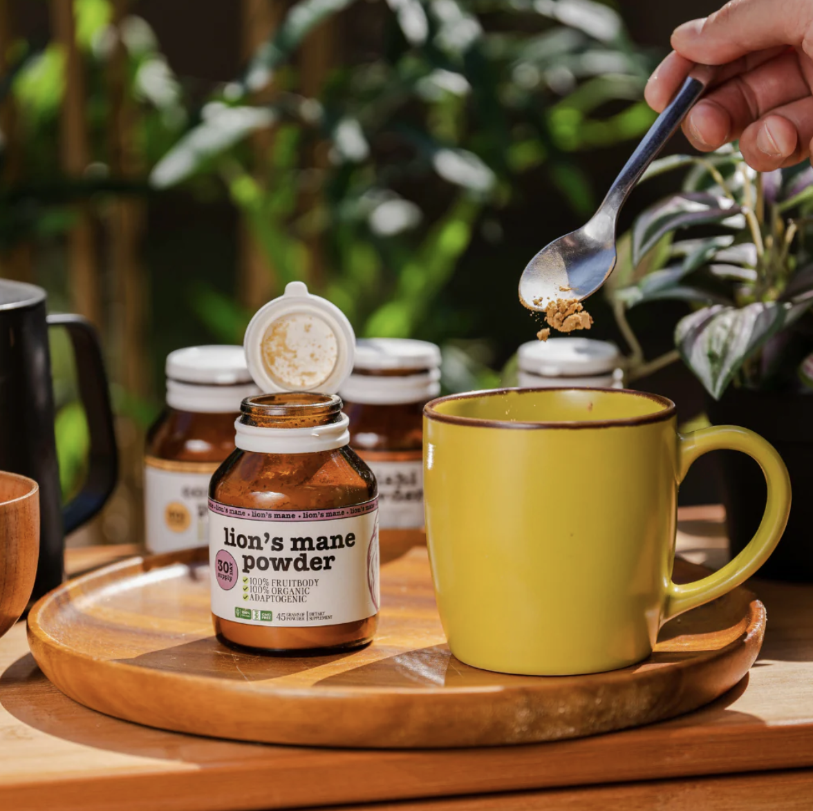 Organic Lion's Mane Powder