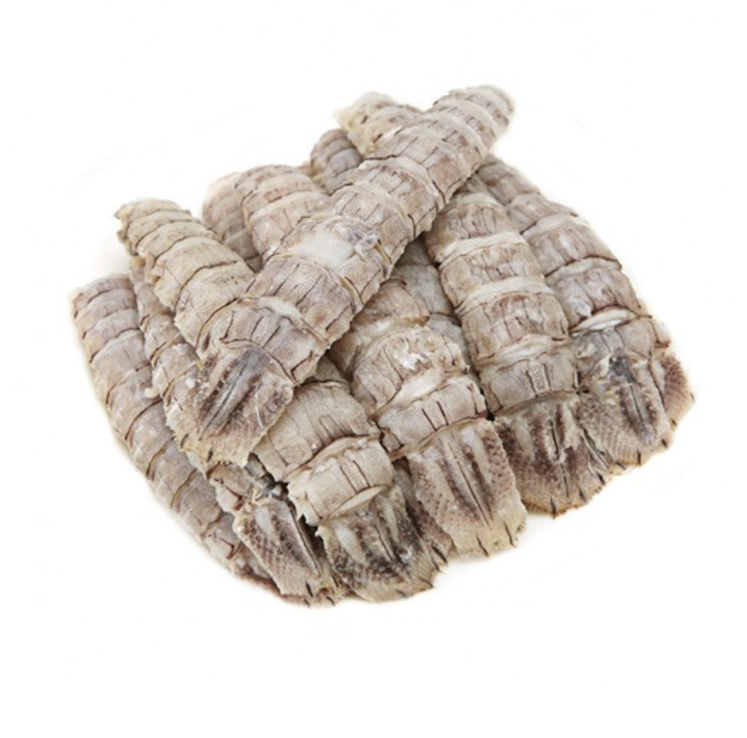 Wild Mantis Shrimp, Peeled (10-11 count/pack)