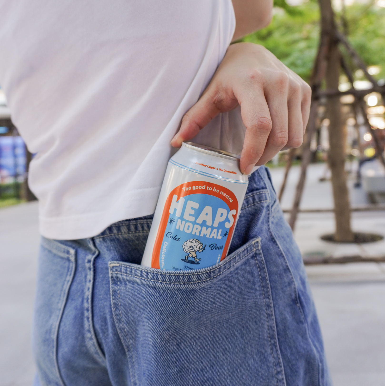 Heaps Normal Another Lager, 4-pack