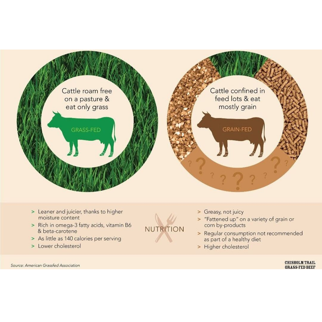 Fine Ground Black Angus Beef Topside & Brisket