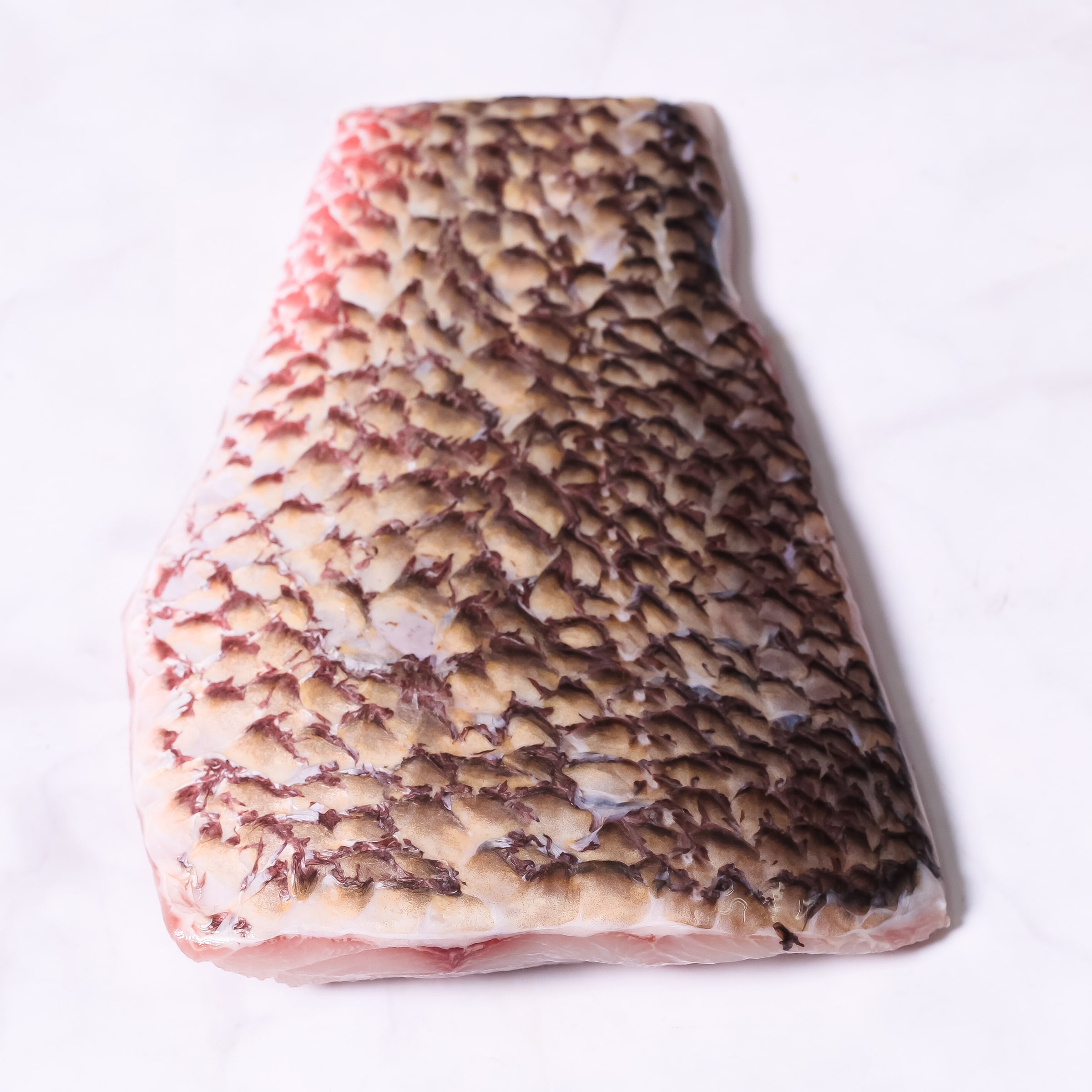 Wild Red Snapper Fillet